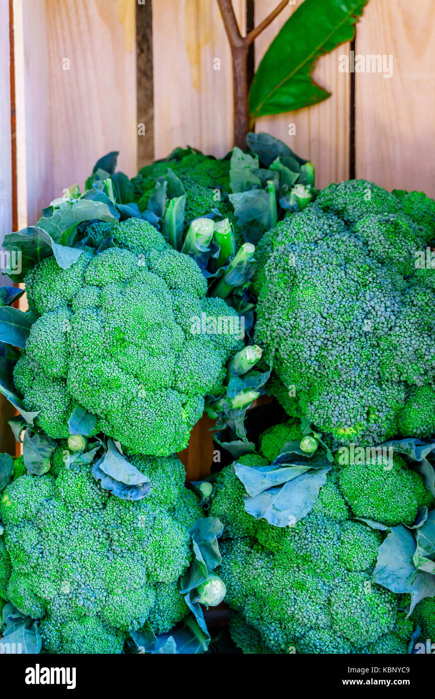 Broccoli in a box on a market Stock Photo - Alamy