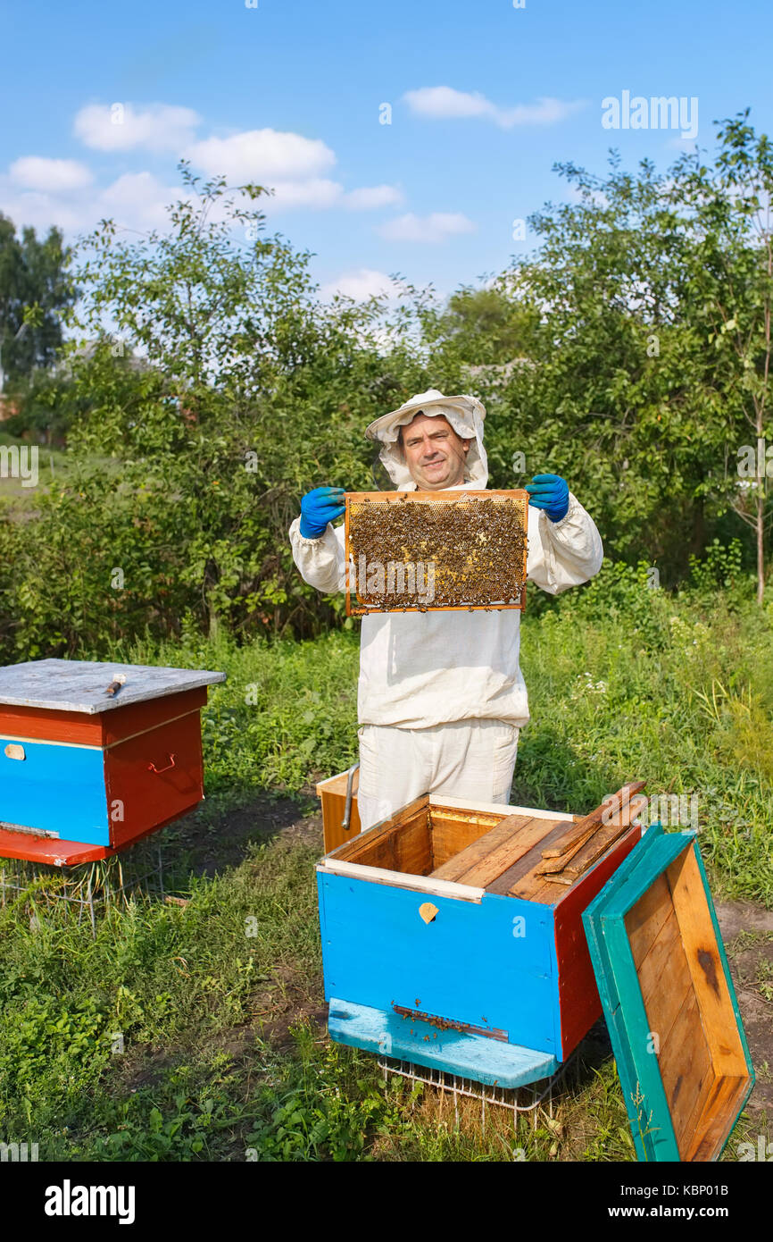 beekeeper with honeycomb Stock Photo - Alamy