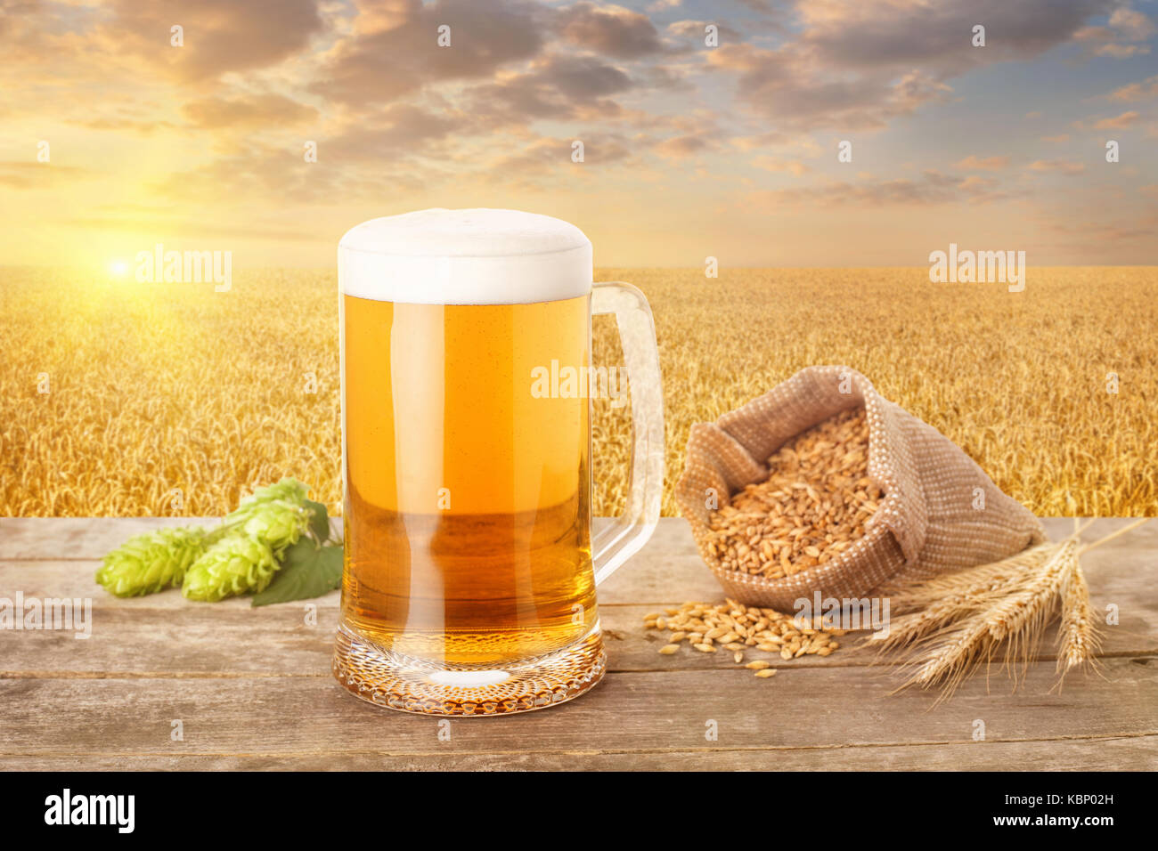 Brewery field hi-res stock photography and images - Alamy