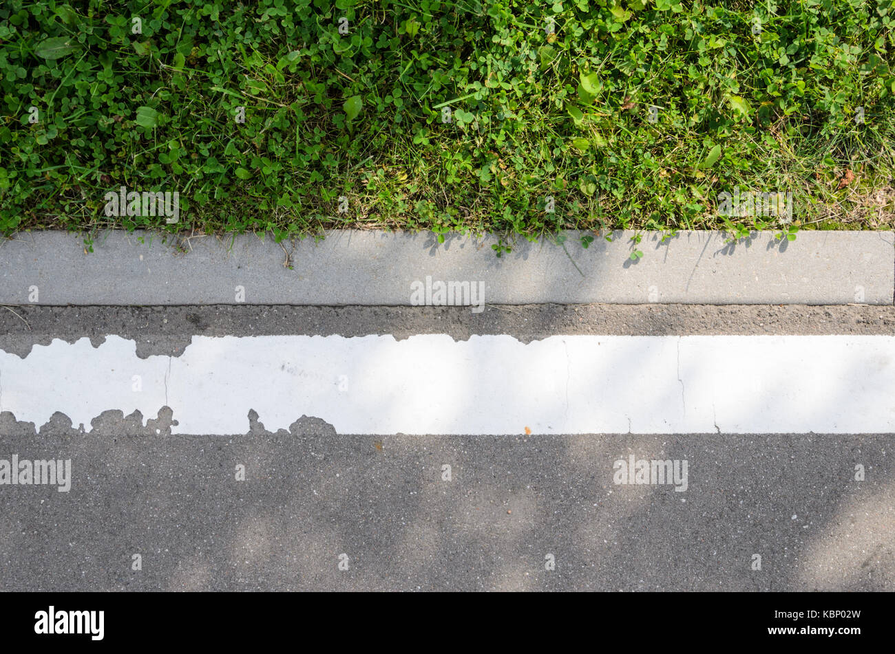 Asphalt Road with White Marking Strip and Lawn Texture. Texture of the ...
