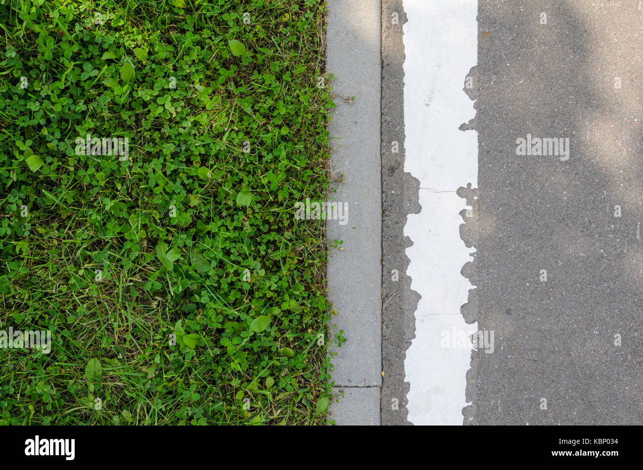 Asphalt Road with White Marking Strip and Lawn Texture. Texture of the ...