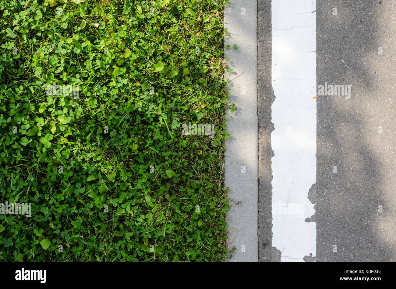 Asphalt Road with White Marking Strip and Lawn Texture. Texture of the ...