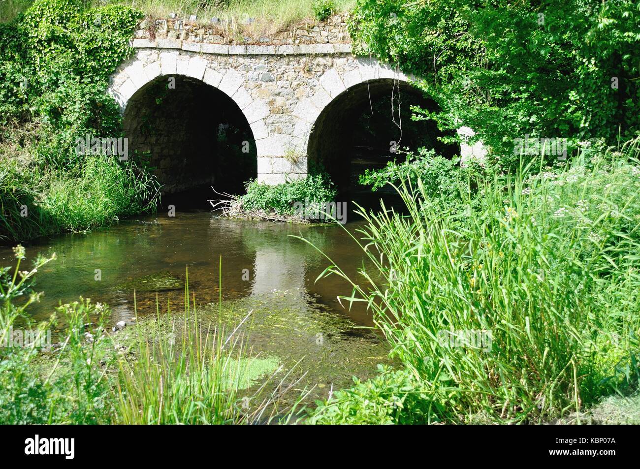 Edge of a river Stock Photo - Alamy