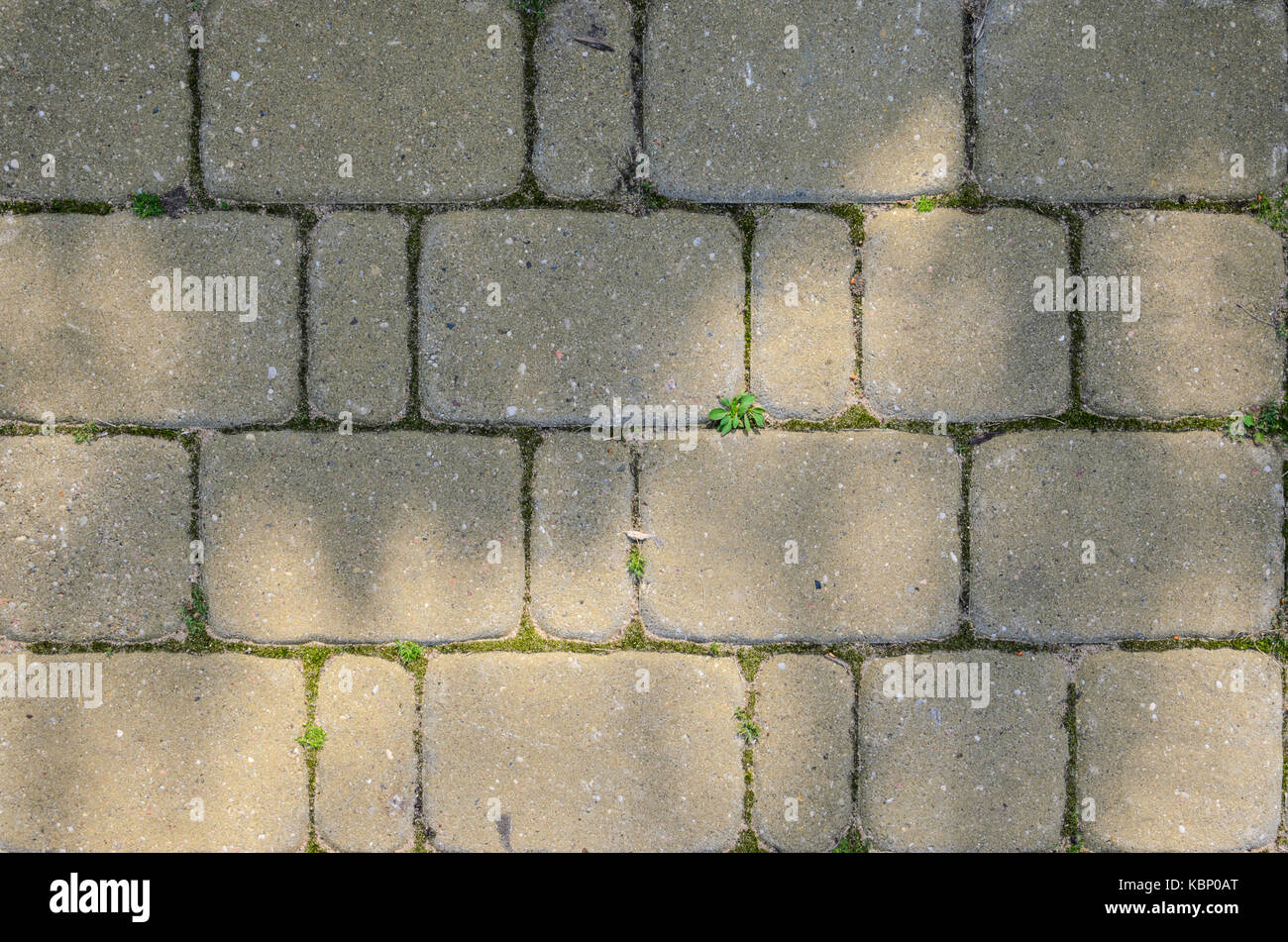 Concrete Square Paving Stone Texture. Landscaping background concept ...