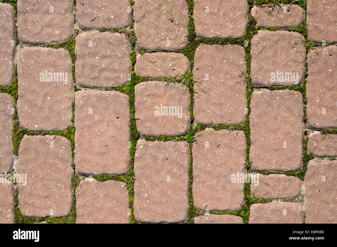 Brick Footpath Texture