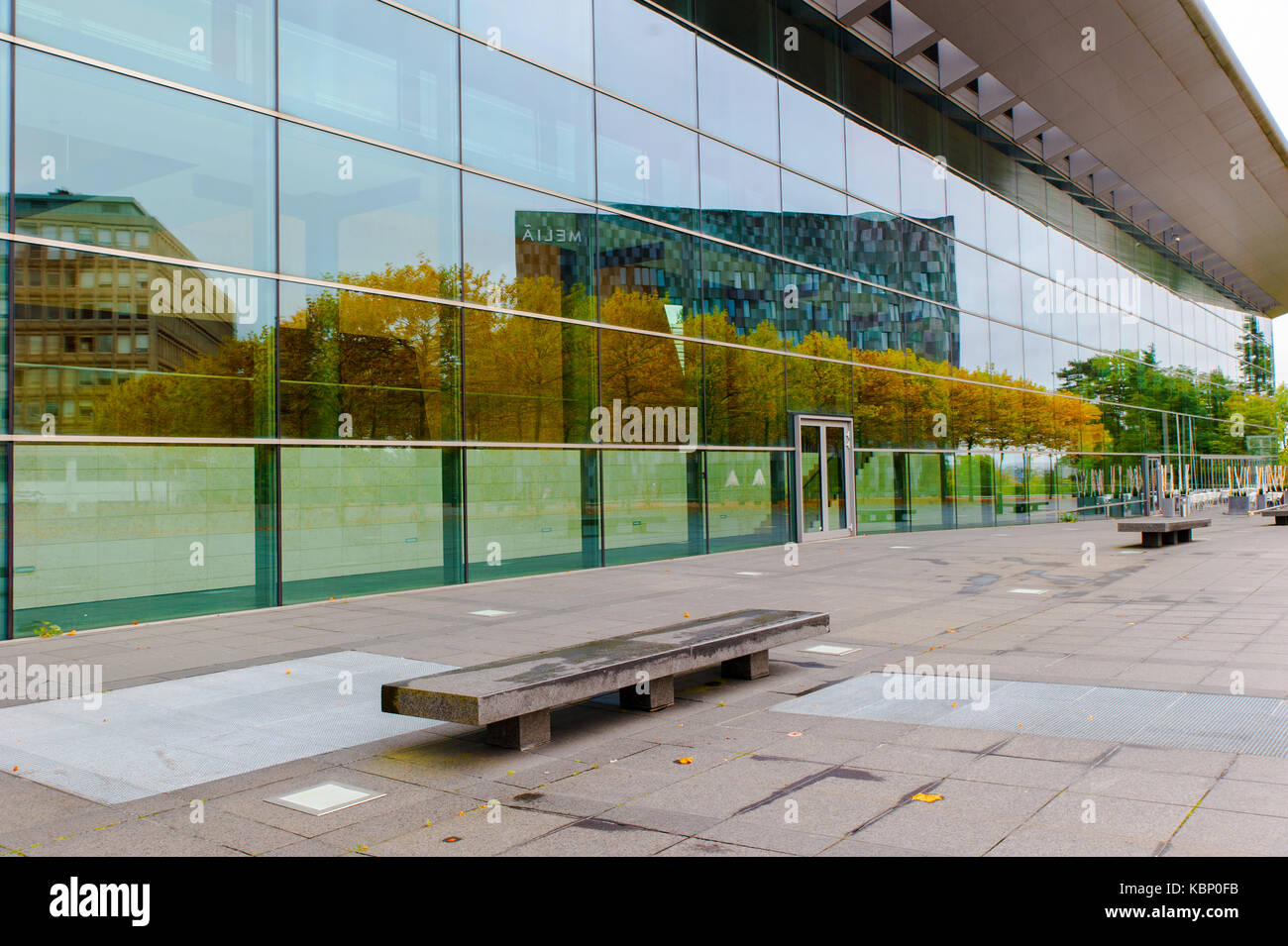 Nature trees glass reflection hi-res stock photography and images - Alamy