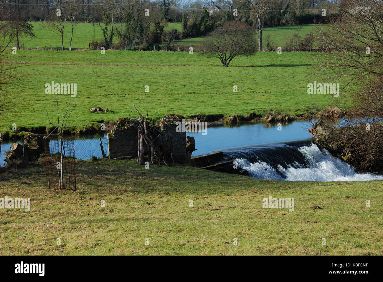 Edge of a river Stock Photo - Alamy