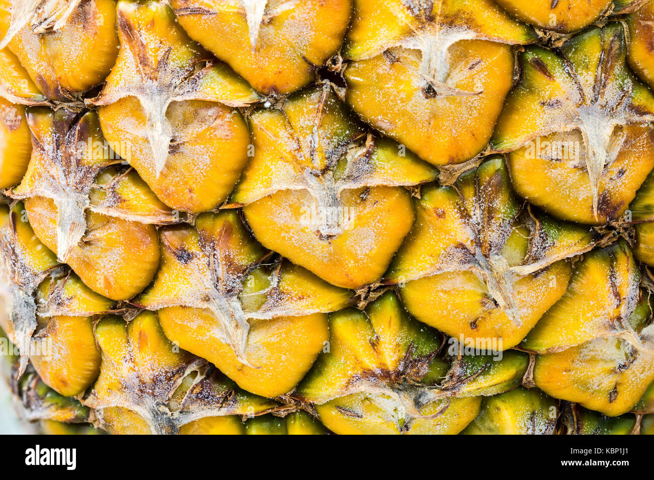 Closeup pineapple skin as texture background Stock Photo - Alamy