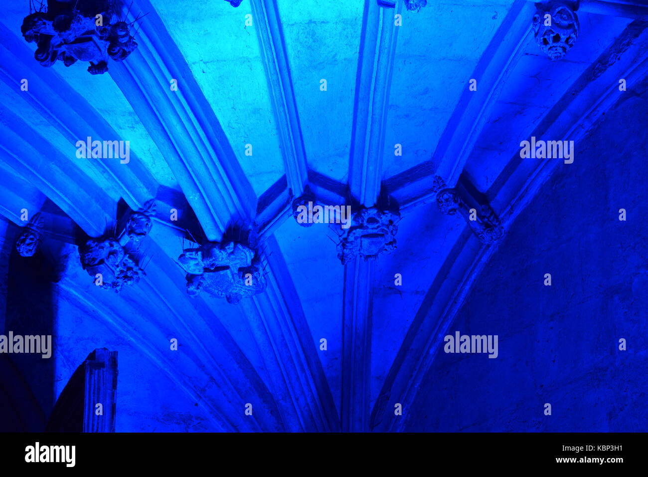 Fan vaulting in blue Stock Photo - Alamy