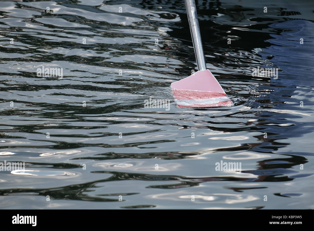 rower blade on river thames Stock Photo - Alamy