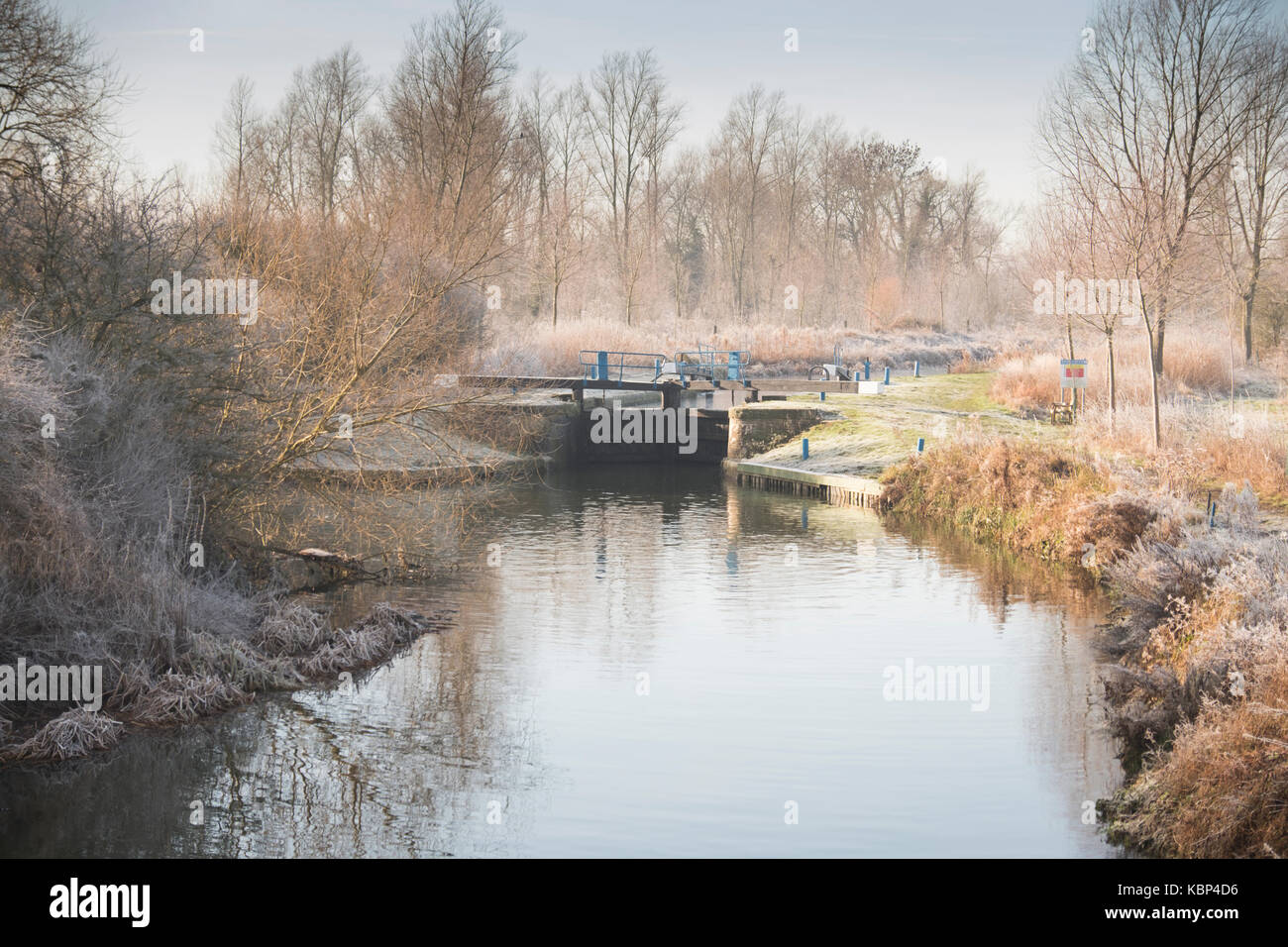 Chelmer and Blackwater canal Stock Photo - Alamy