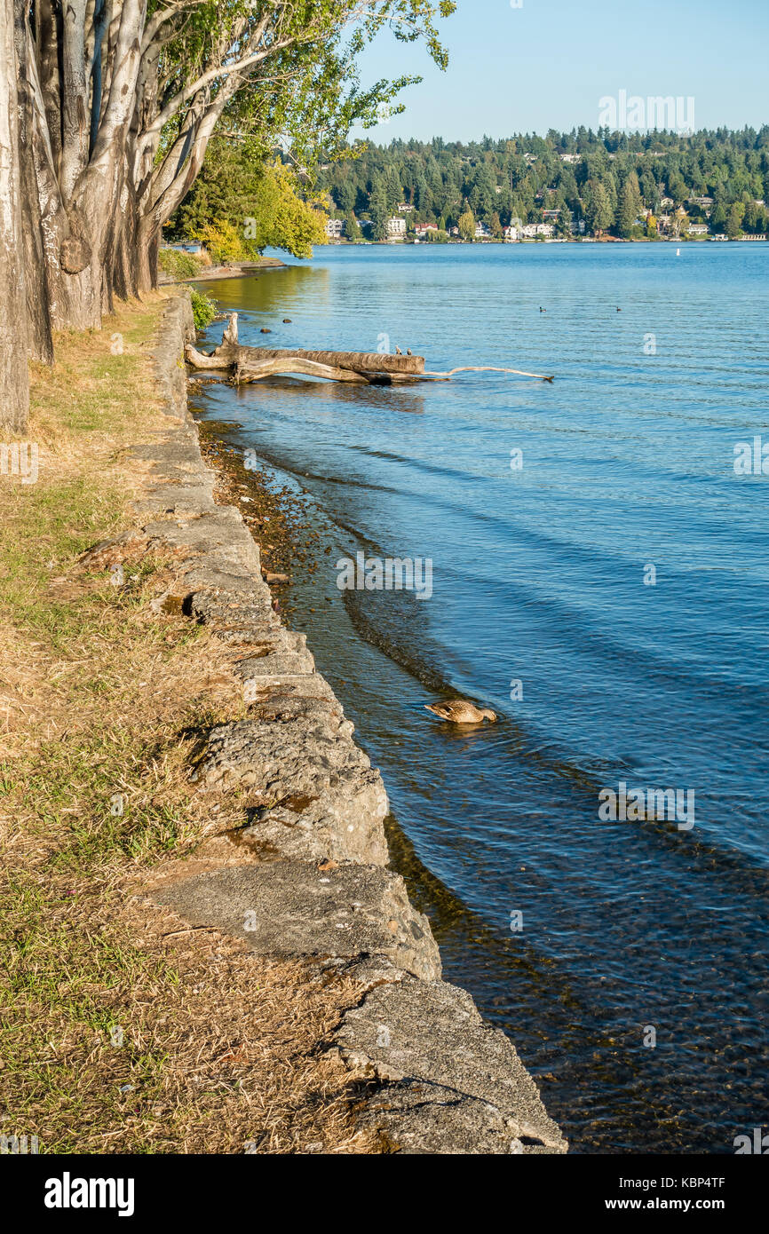 Mercer Island Wa Parks