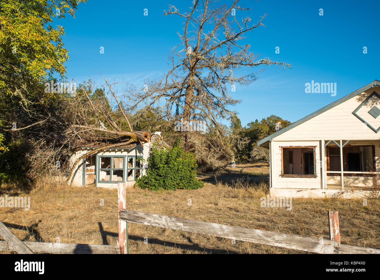 House without windows tree without leaves hi-res stock photography and ...