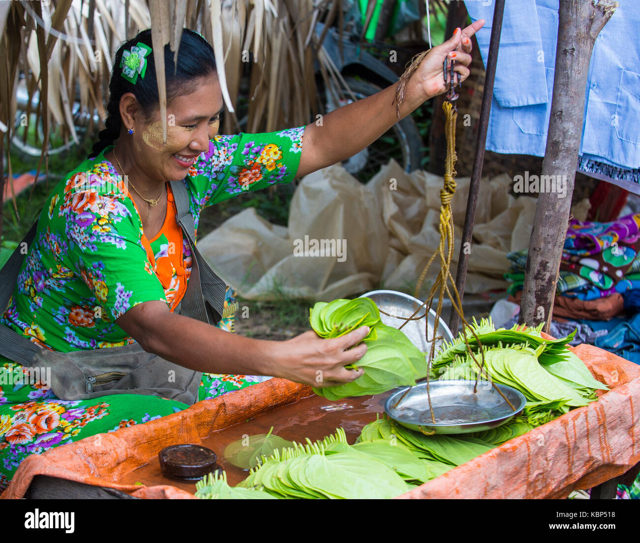 Burmese woman selling betel leaf in a market in Shan state Myanmar ...