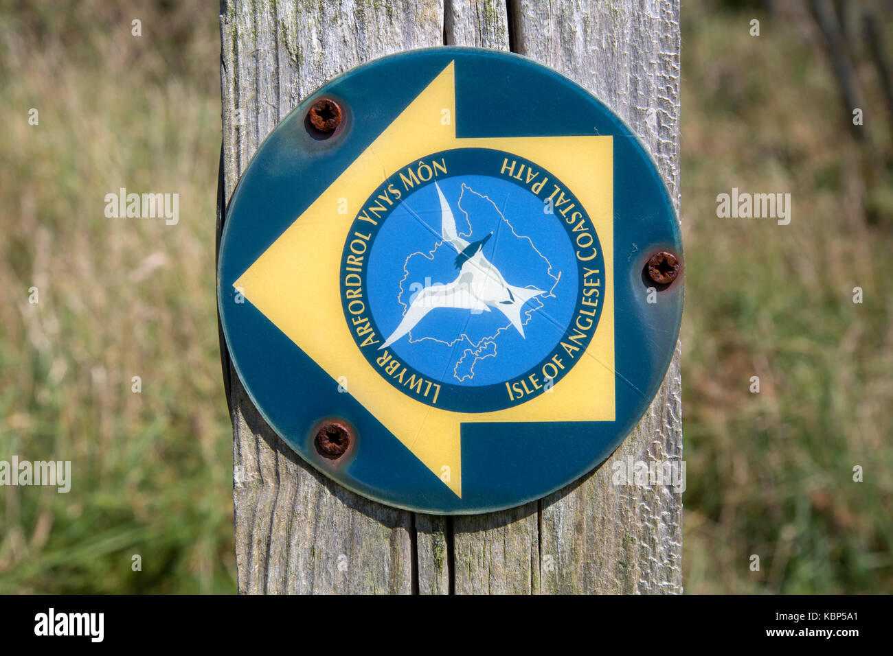 Isle of Anglesey Coastal Path Sign; Wales; UK Stock Photo - Alamy