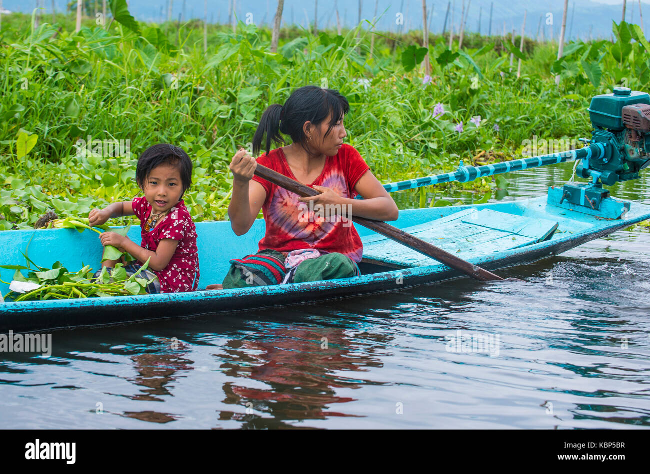 Intha people working on there floating garden in Inle lake Myanmar ...