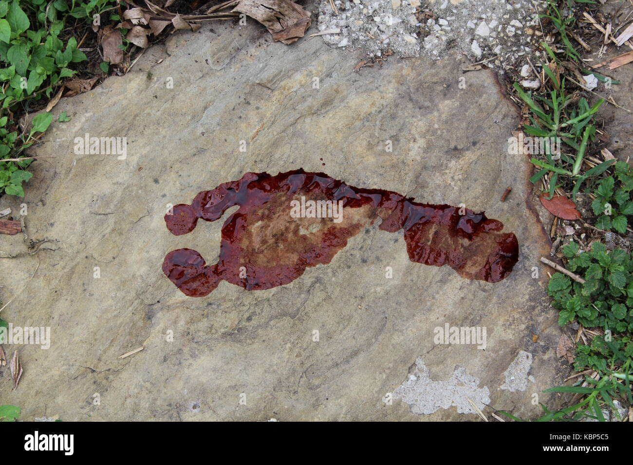Crime scene evidence footprint hi-res stock photography and images - Alamy