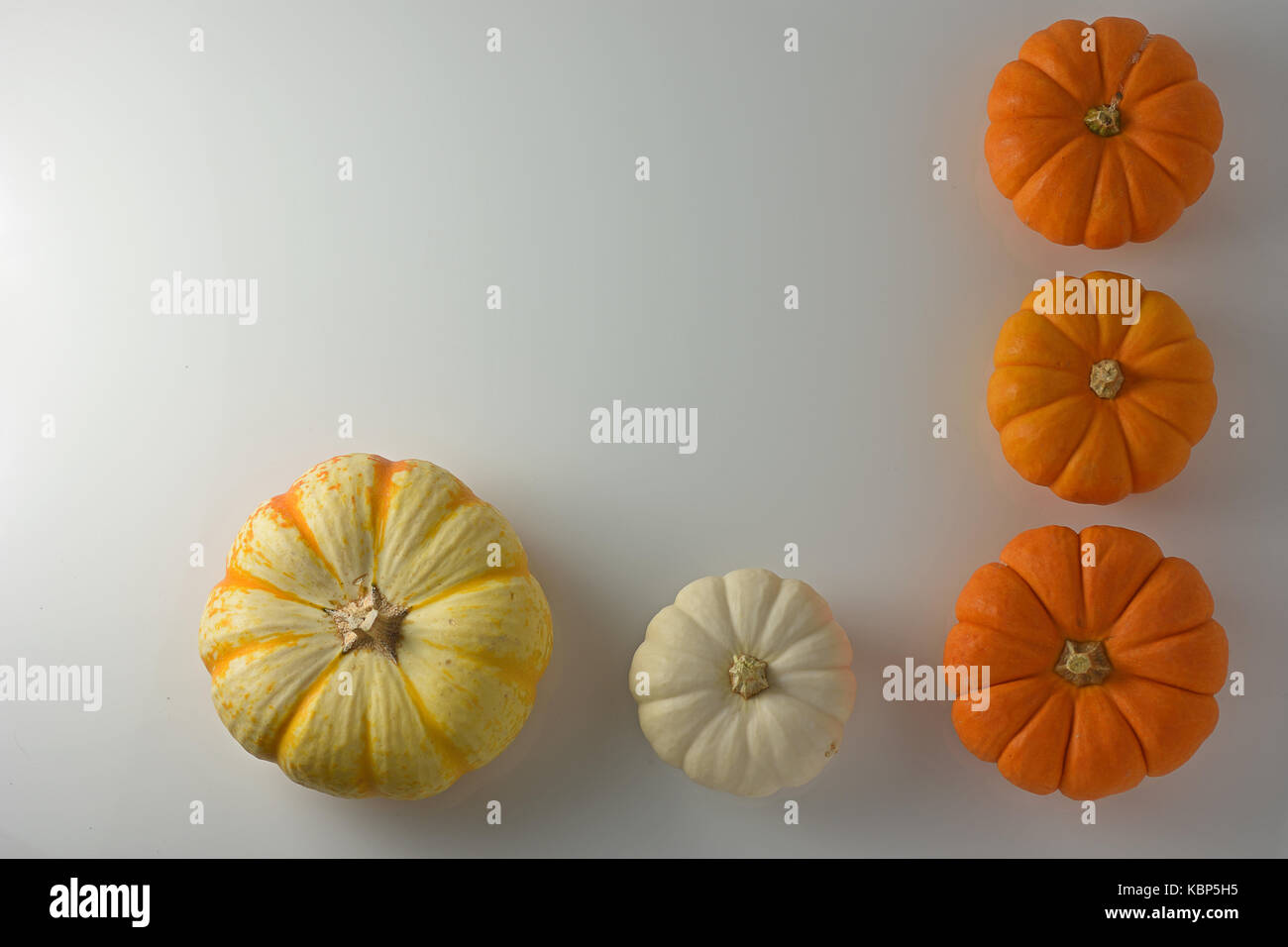 Different types of mini pumpkins arranged on a white surface Stock ...