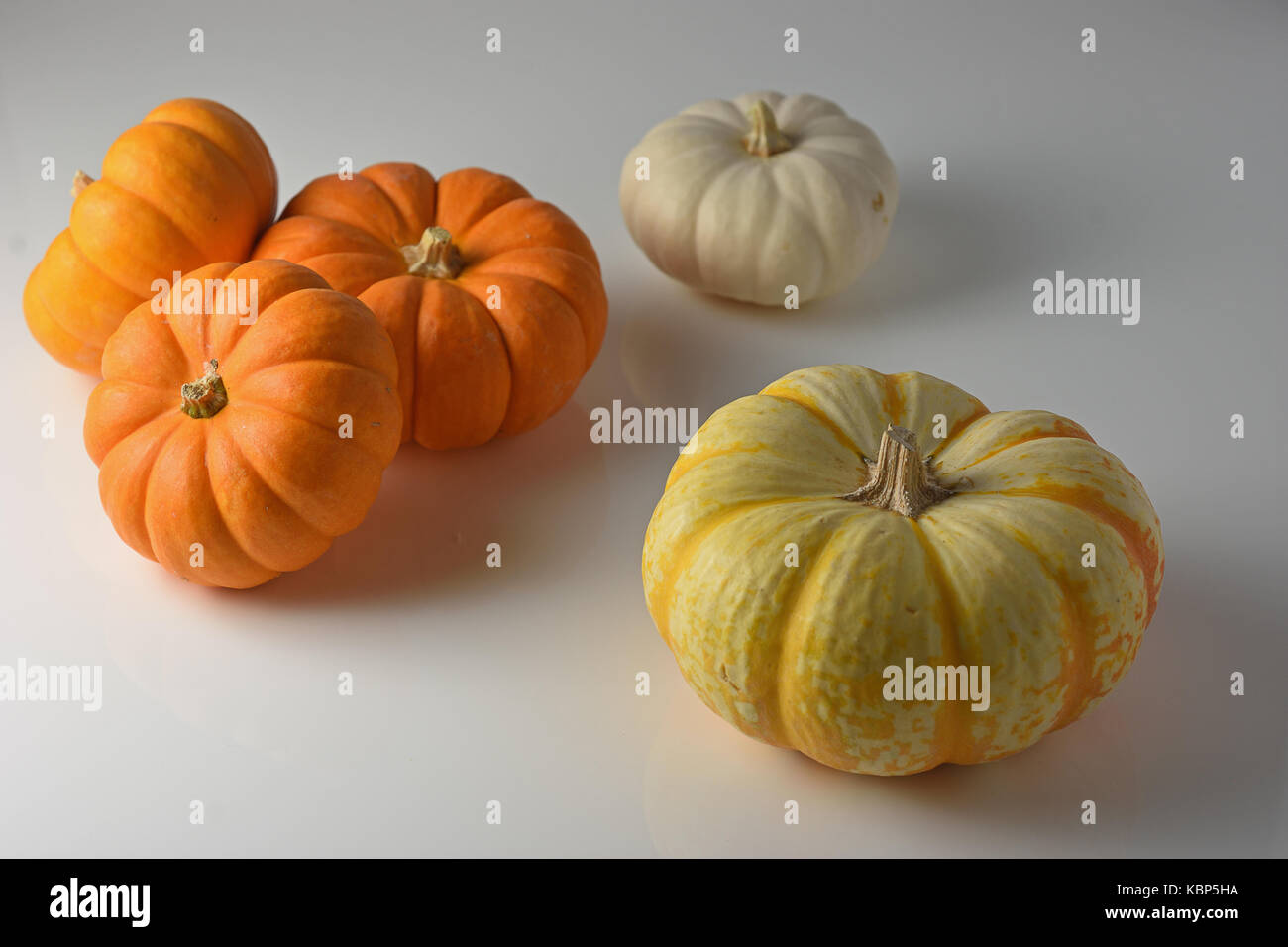 Different types of mini pumpkins arranged on a white surface Stock ...