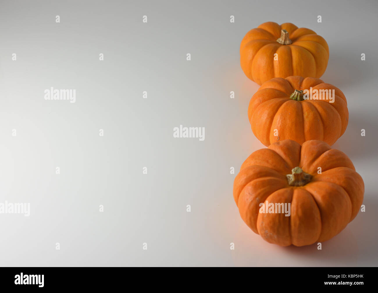 Harvest pumpkins gourds arranged on hi-res stock photography and images ...