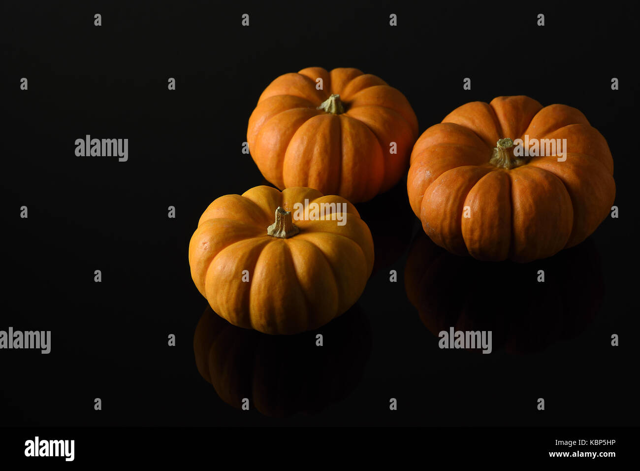 Different types of mini pumpkins arranged on a black reflective surface ...
