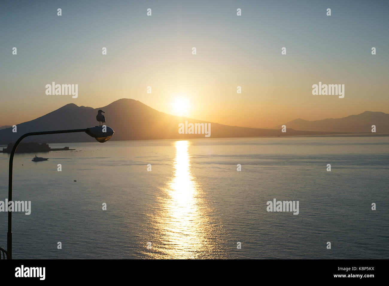Naples seagull hi-res stock photography and images - Alamy