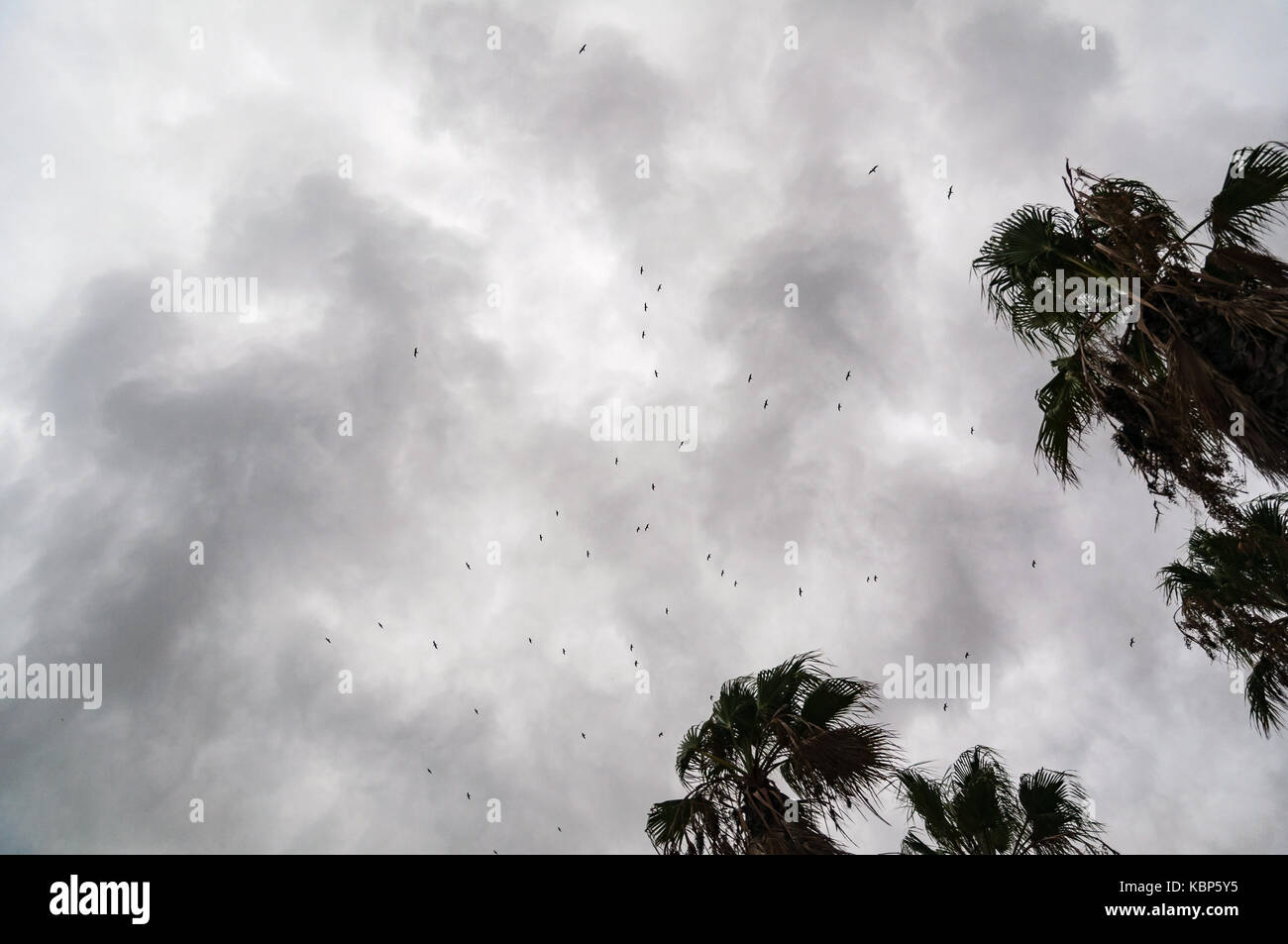 Storm in Barcelona Stock Photo - Alamy
