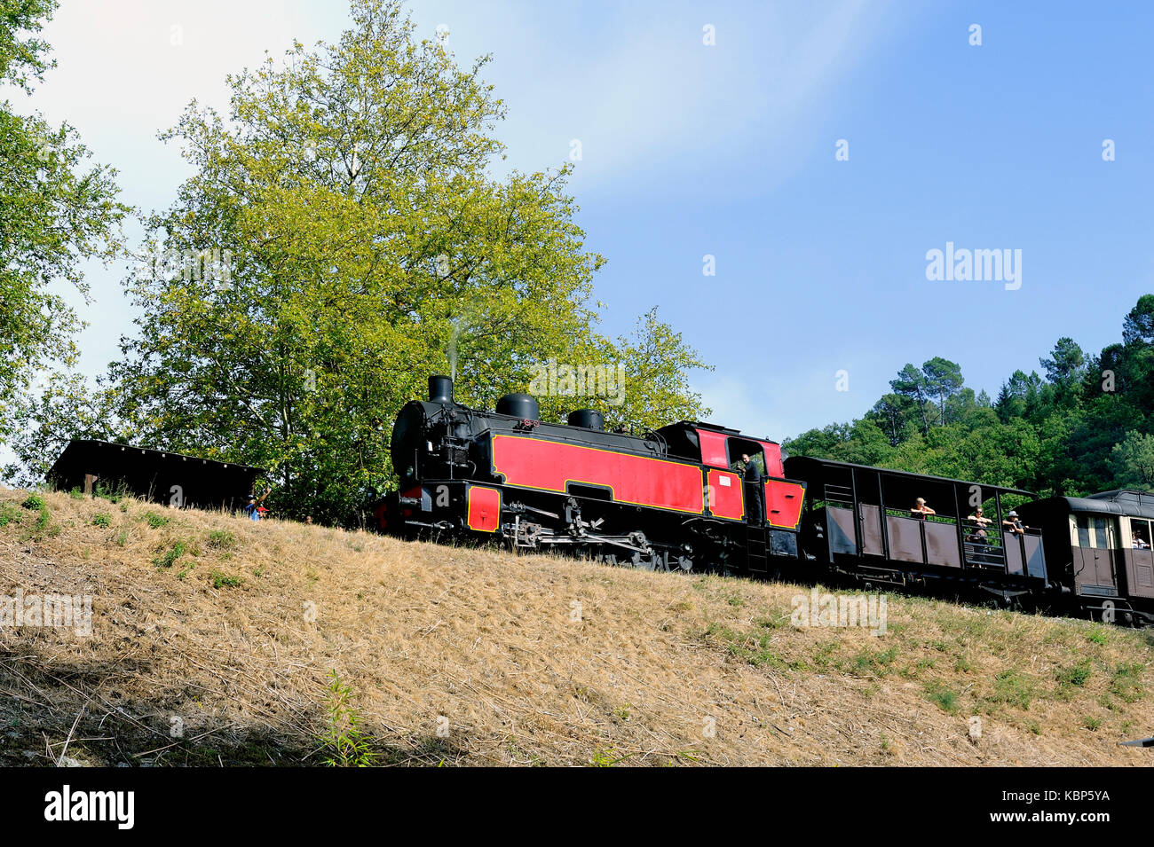 The small steam train of Anduze passing in the park of the bamboo ...