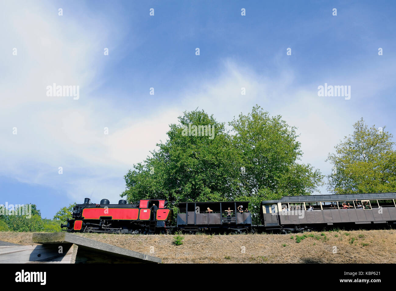 The small steam train of Anduze passing in the park of the bamboo ...