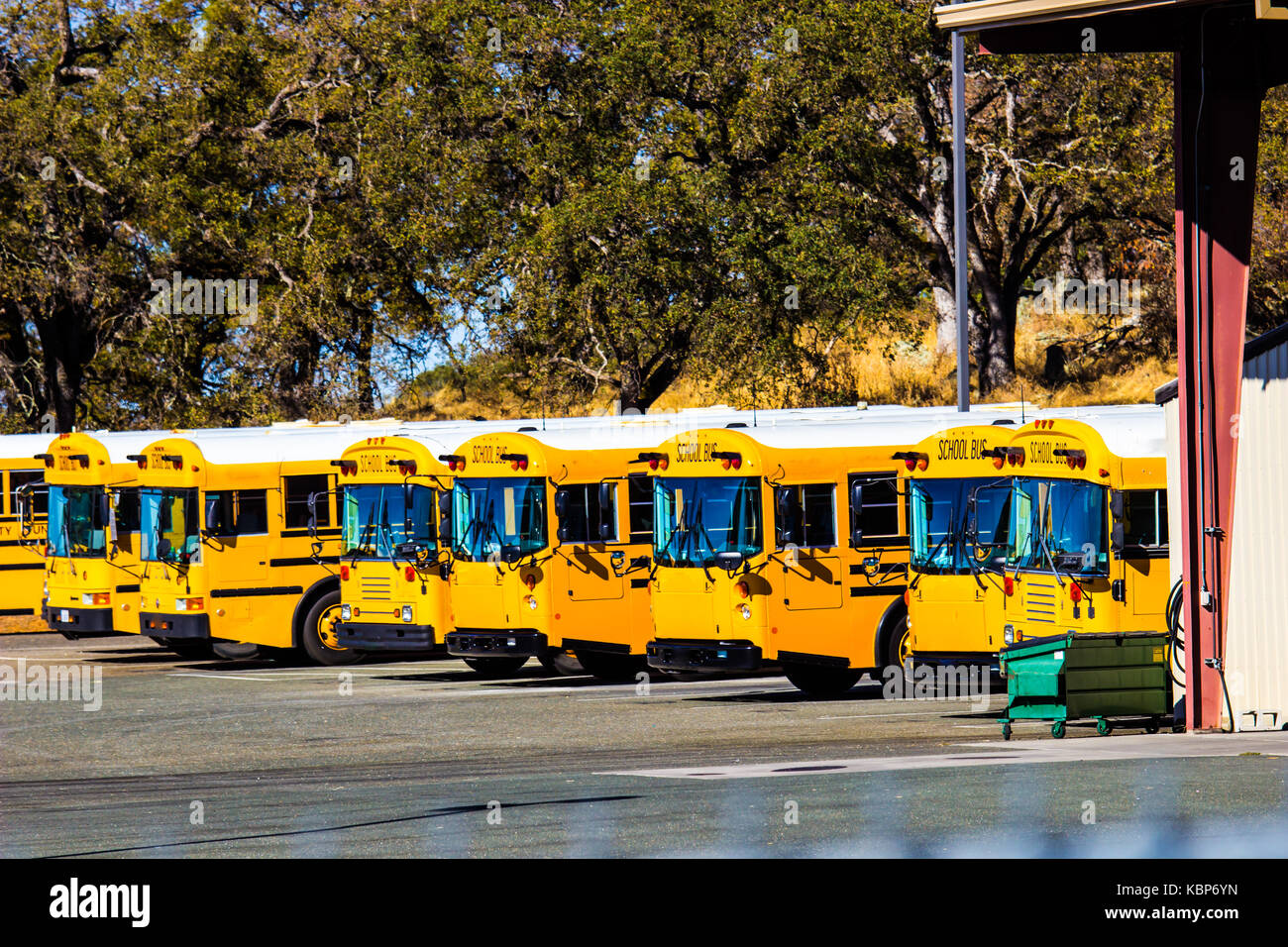 Row Of Yellow School Buses Stock Photo - Alamy