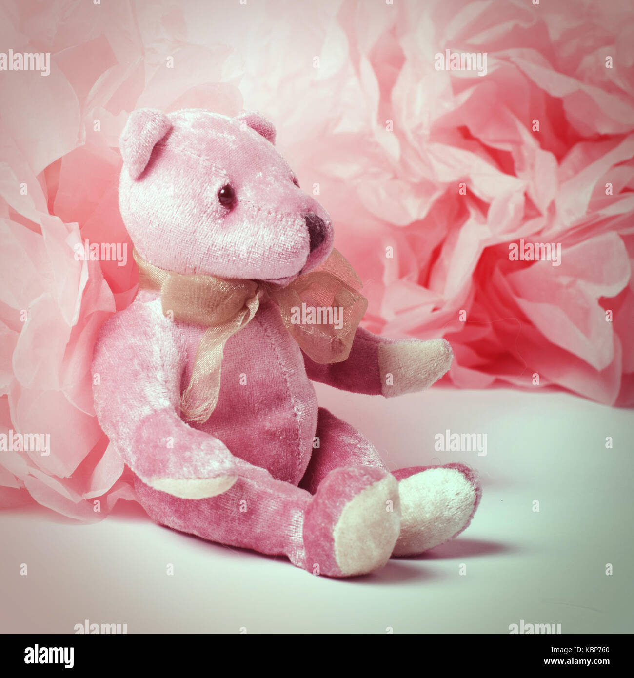 Pink teddy bear hi-res stock photography and images - Alamy