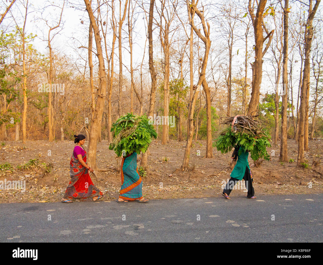 Woman carrying weight on head hi-res stock photography and images - Alamy