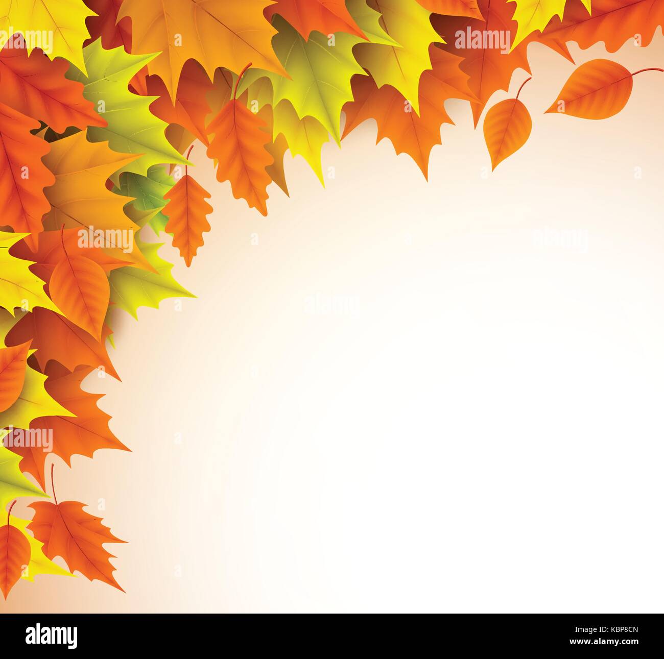 Autumn vector background template. Fall season maple leaves elements ...