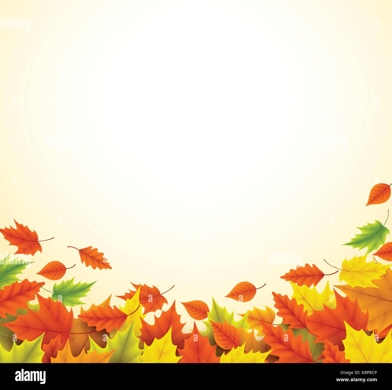 Fall background for autumn season with collection of orange and yellow ...