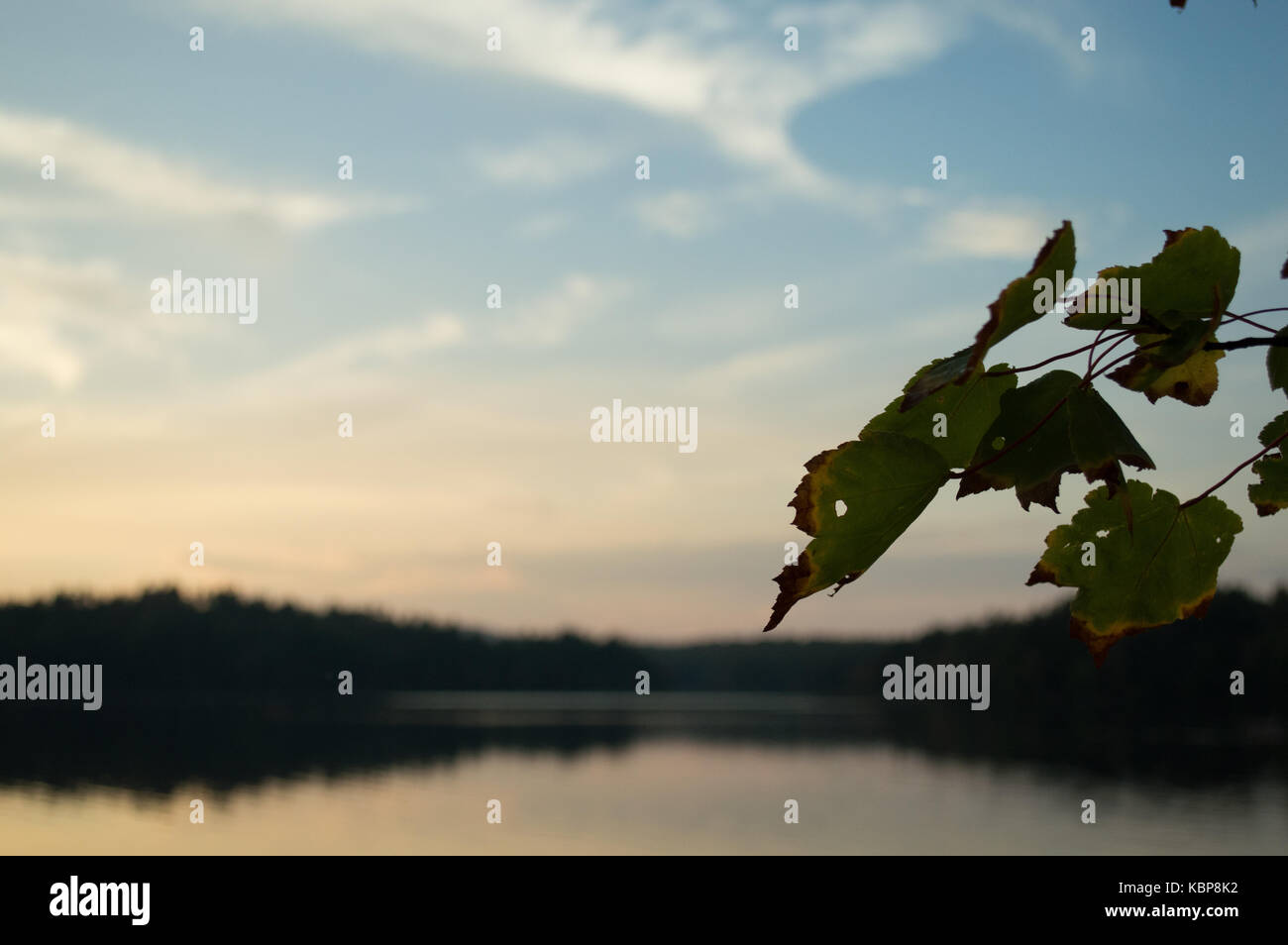 Night sky soon hi-res stock photography and images - Alamy