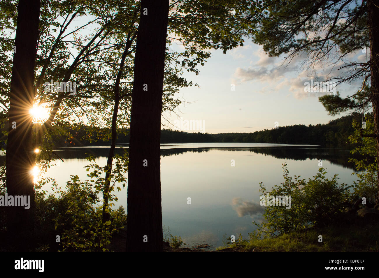 Trees encompass the view of a sunset reflecting off of Pearly Lake ...