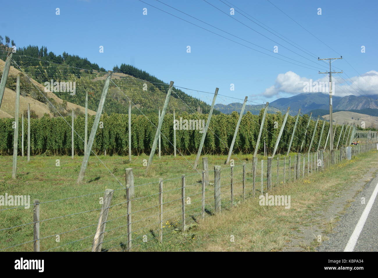 Motueka new zealand hi-res stock photography and images - Alamy