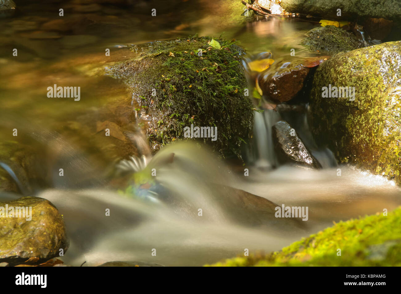 Streamlet hi-res stock photography and images - Alamy