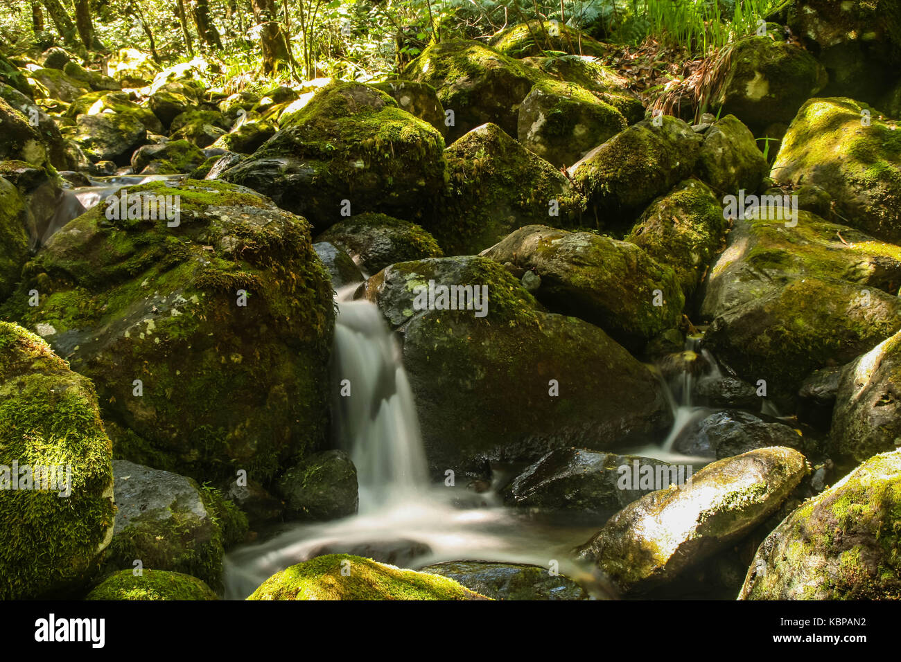 Rill stream hi-res stock photography and images - Alamy