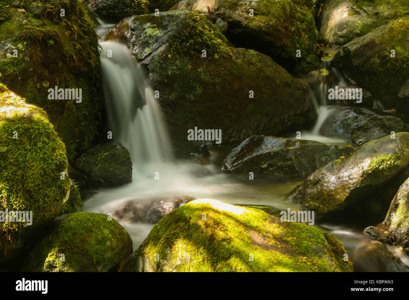 Brooklet hi-res stock photography and images - Alamy