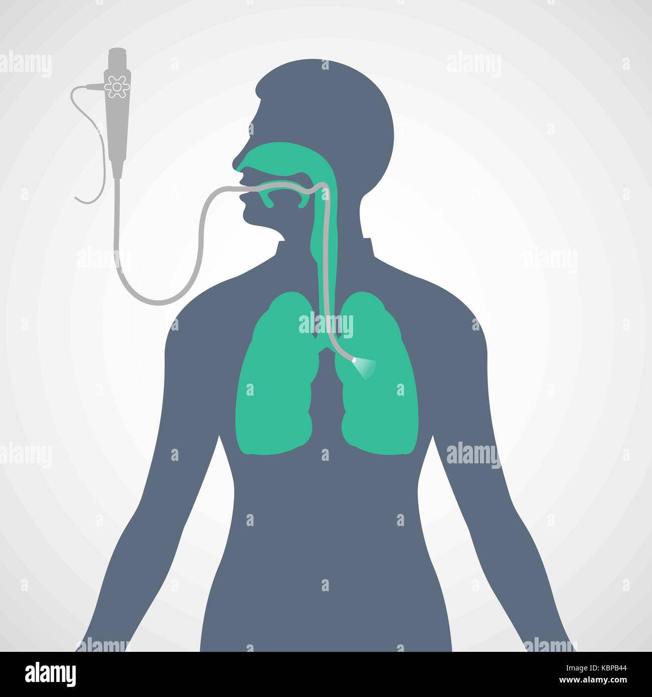 Endoscopy Stock Vector Images - Alamy