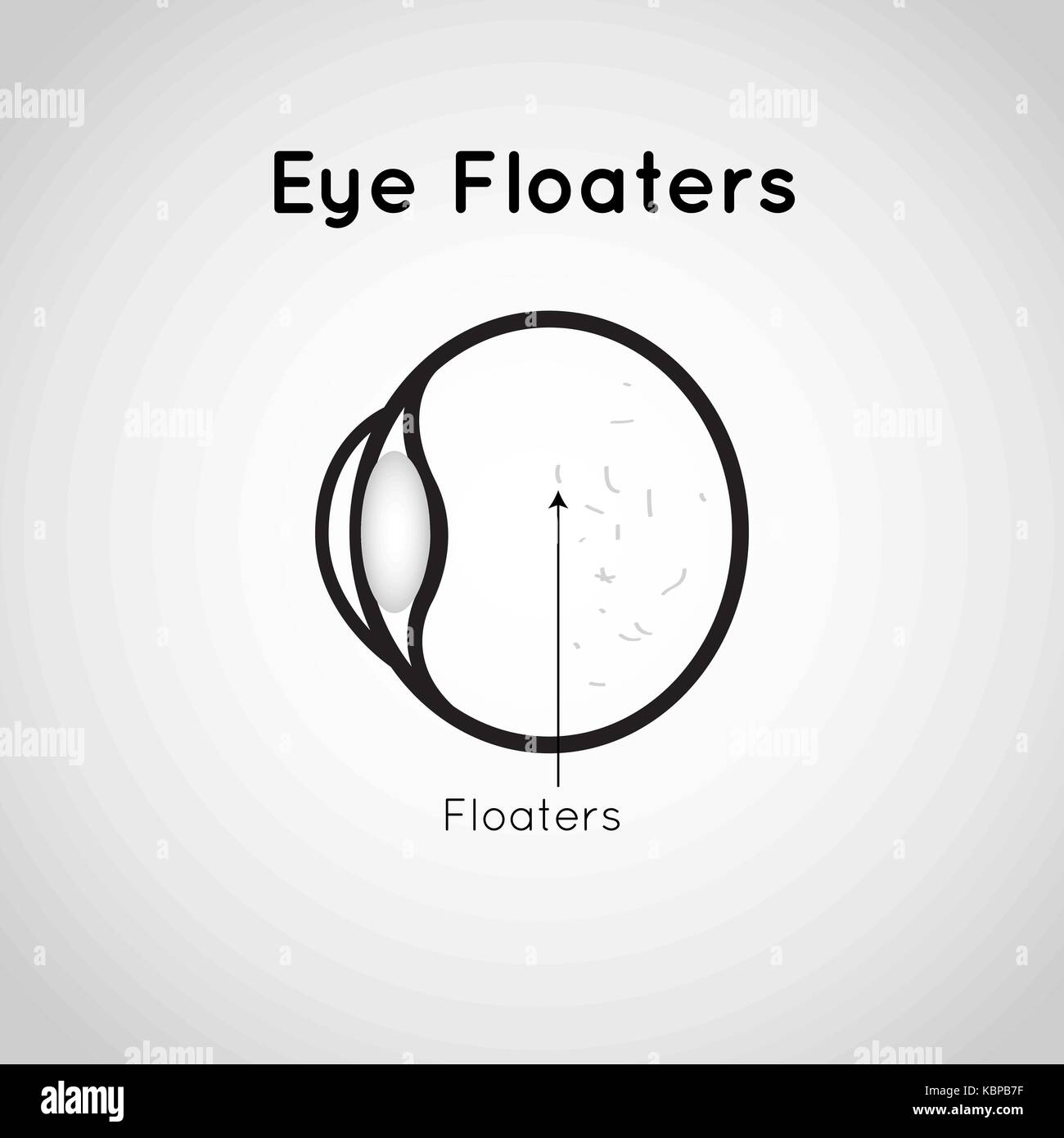 Diagram of eye Black and White Stock Photos & Images - Alamy