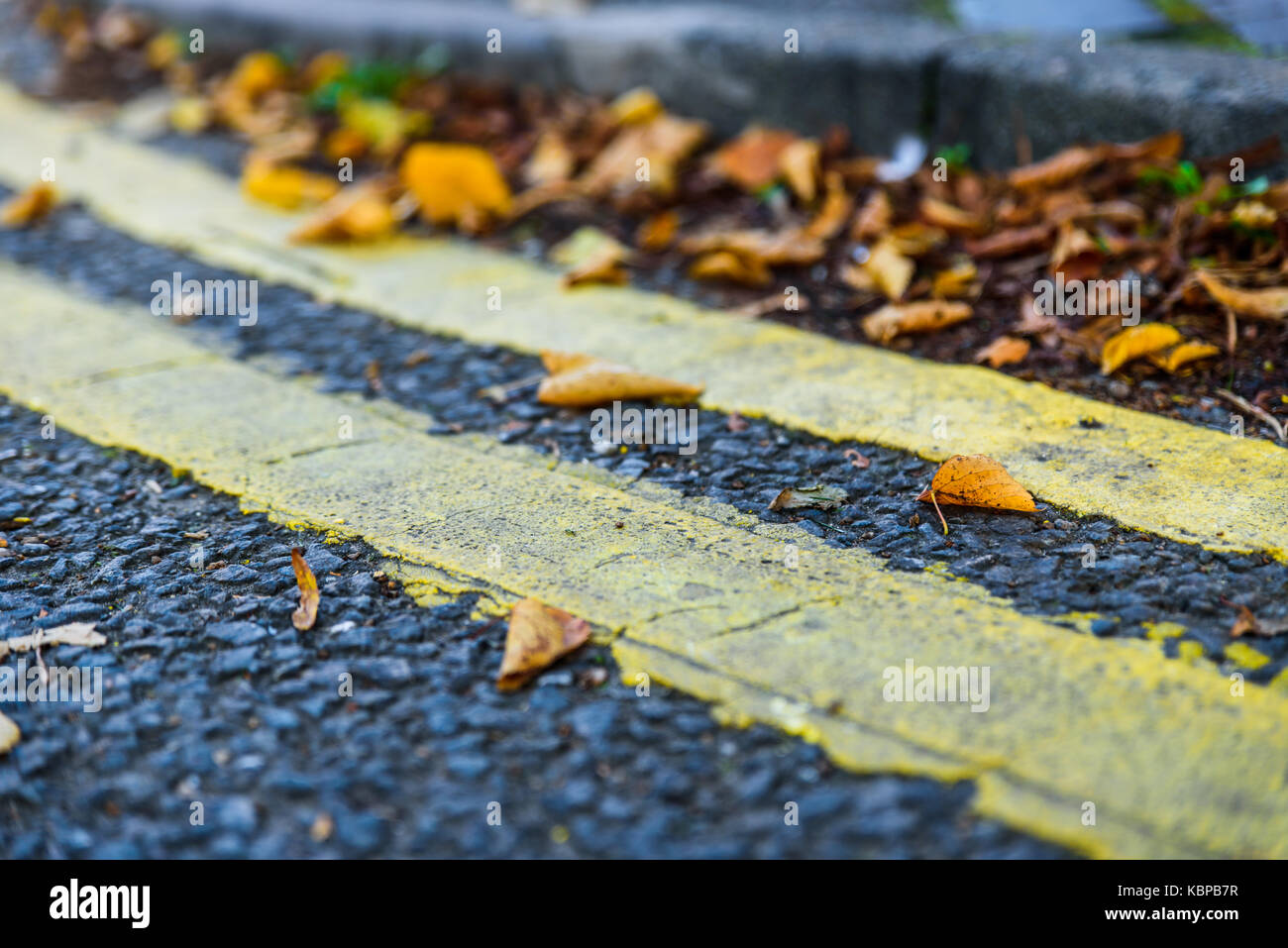 Closeup view yellow road marking line Stock Photo - Alamy