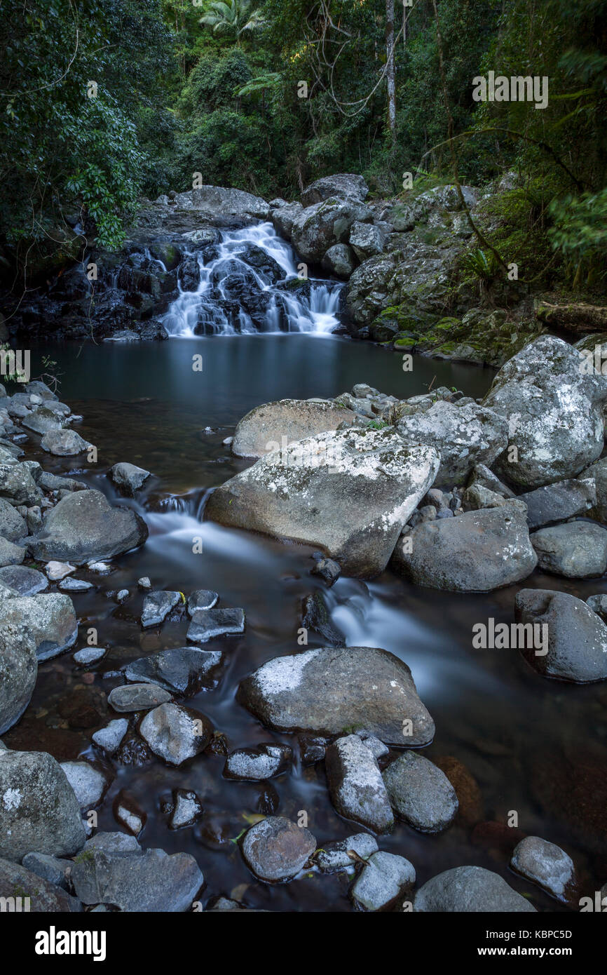 Lamington National Park, Queensland, Australia Stock Photo - Alamy
