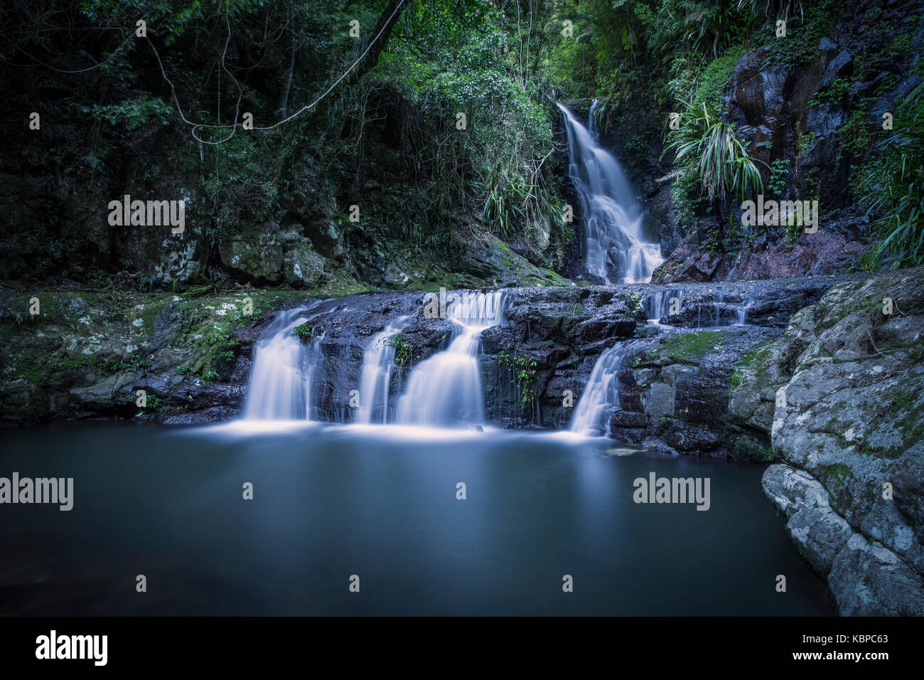 Lamington National Park, Queensland, Australia Stock Photo - Alamy