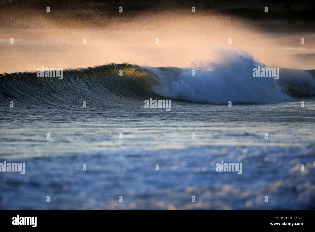 waves and surfing Stock Photo - Alamy