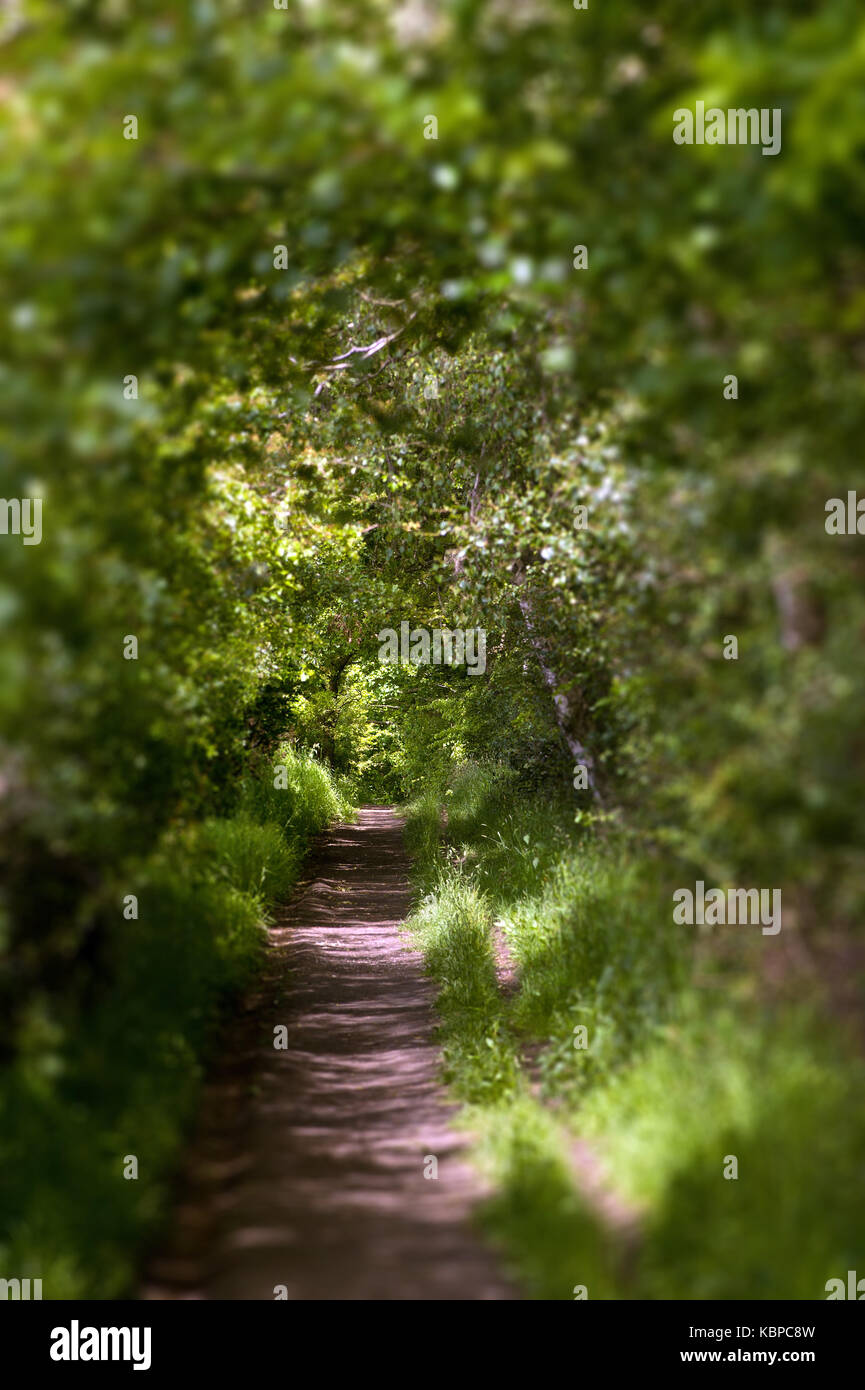 Gosforth Park Nature Reserve Stock Photo - Alamy