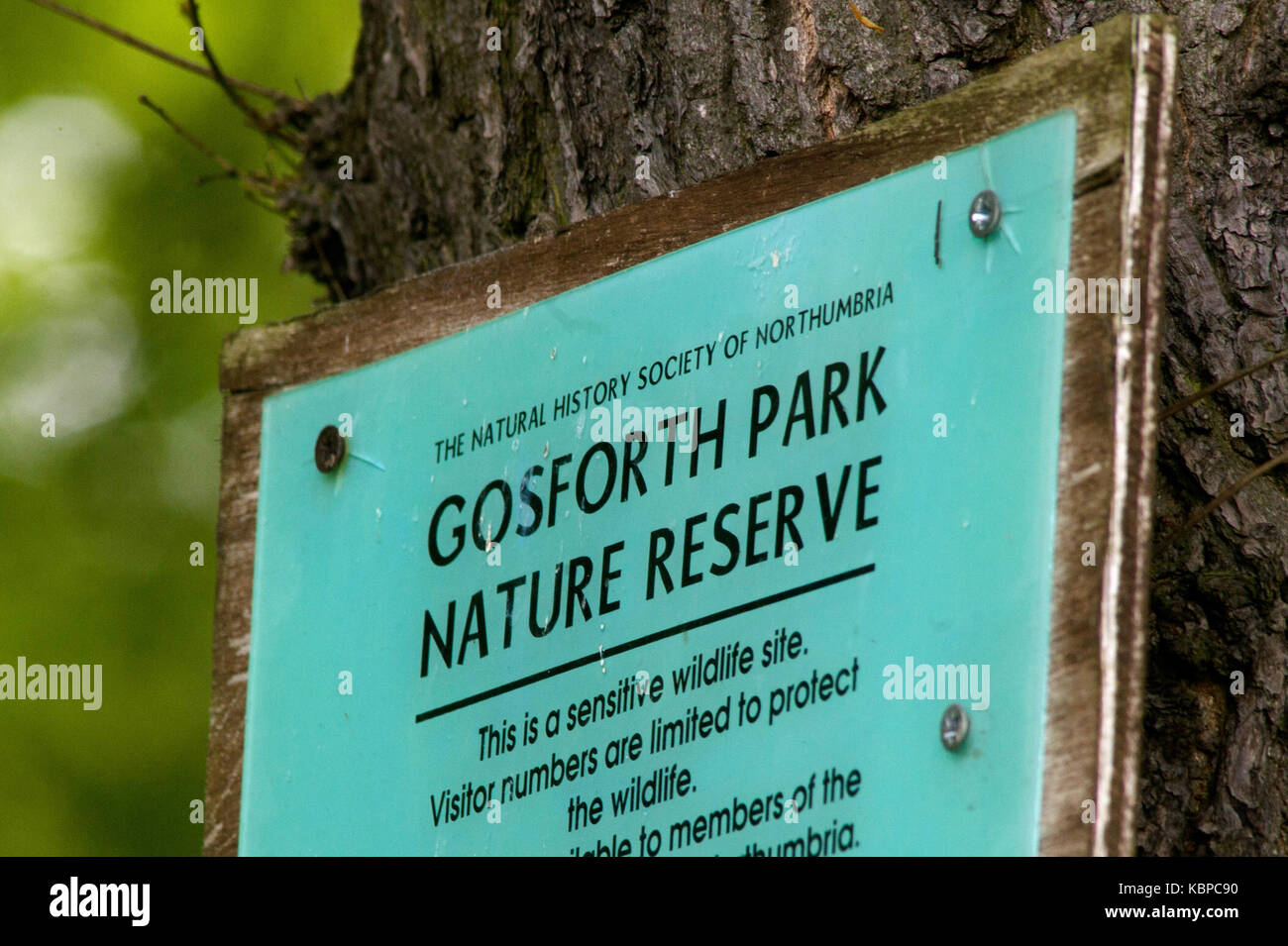 Gosforth Park Nature Reserve Stock Photo - Alamy