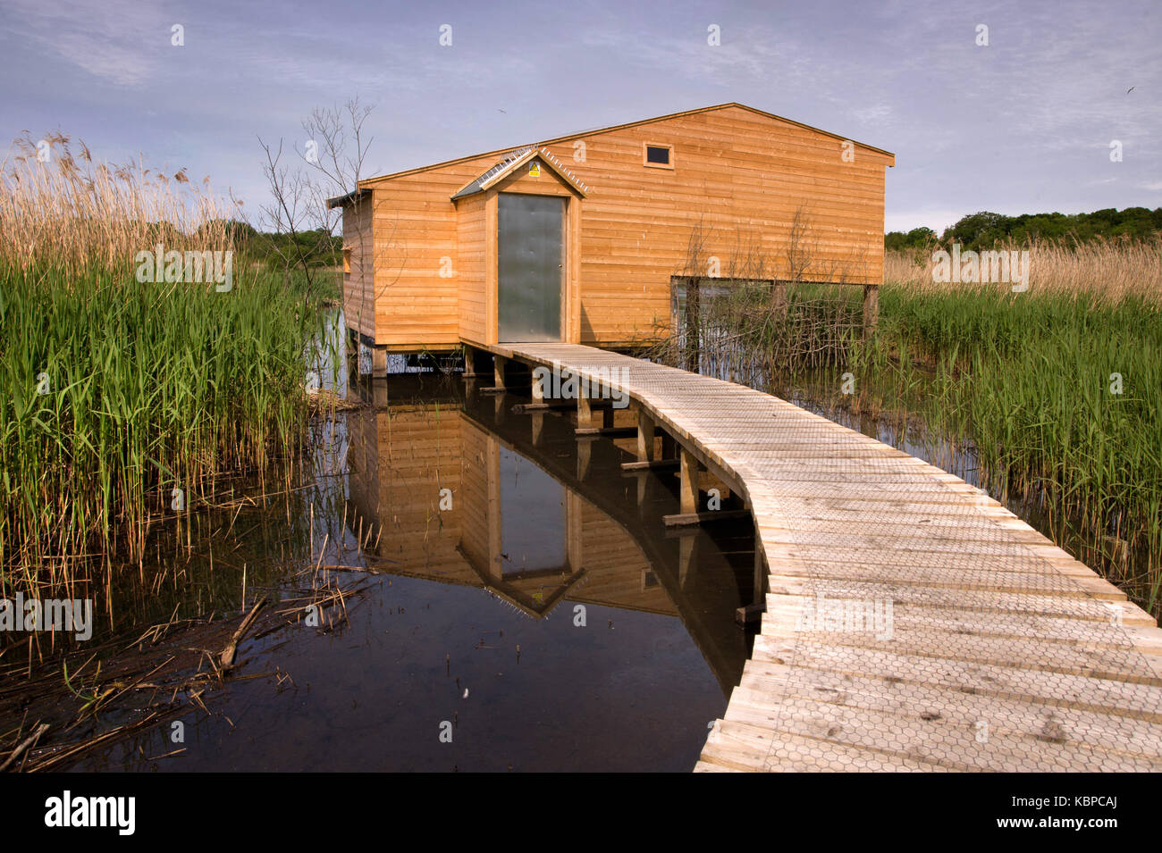 Hide, Gosforth Park Nature Reserve Stock Photo - Alamy
