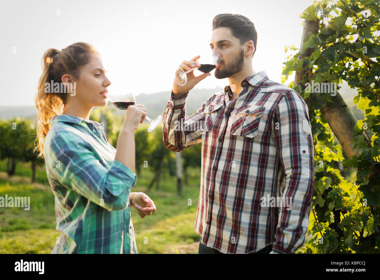 People sampling and tasting wines in vineyard Stock Photo - Alamy